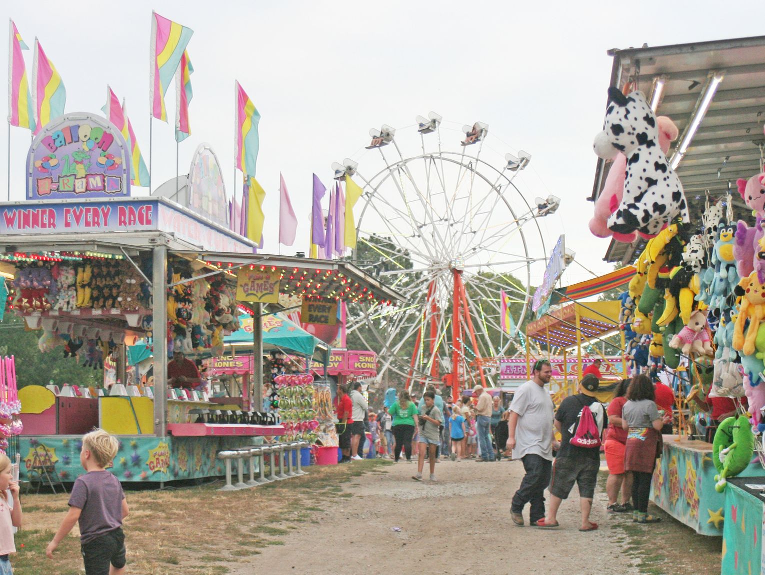 Ferris Wheel, Funnel Cakes and Farm Animals; Fair Wraps Up Summer in ...